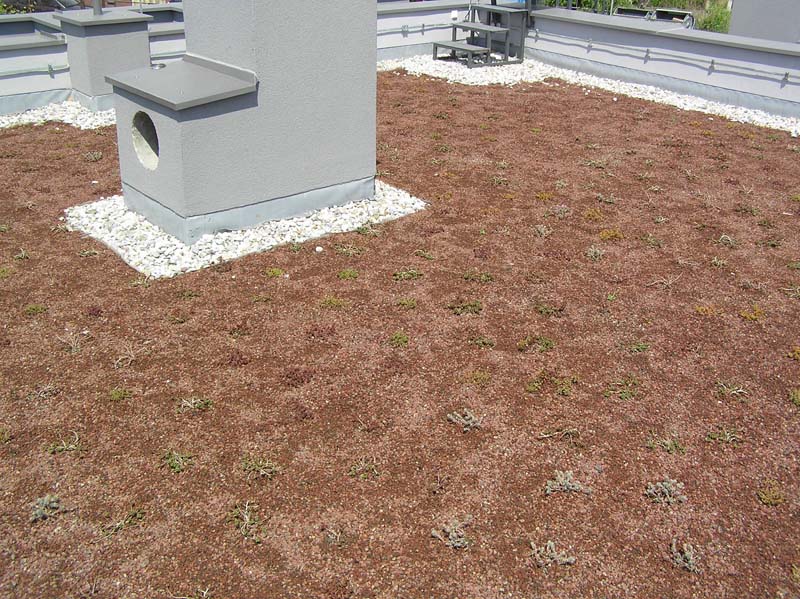 Hidrogreen - zeleni krovovi