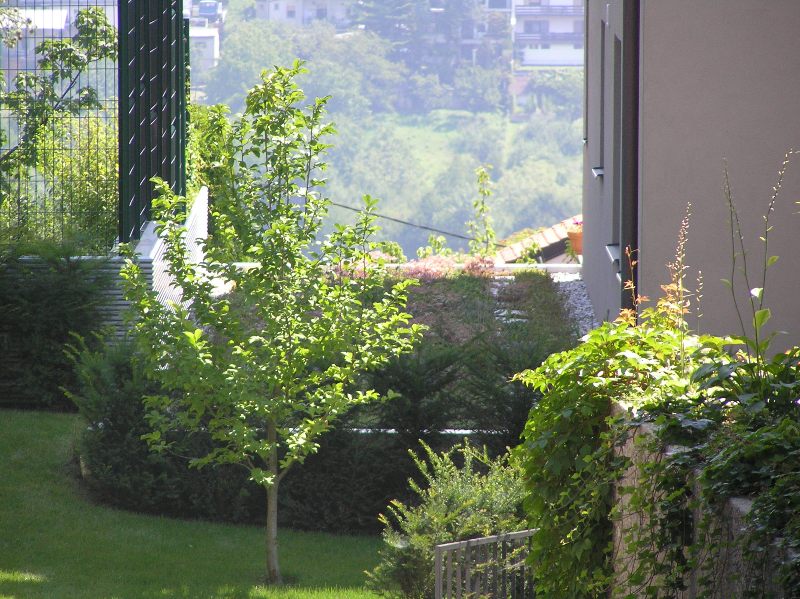 Hidrogreen - zeleni krovovi